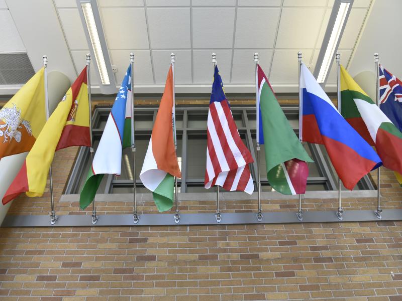 Flags of Nations have returned to SUNY Oswego's Marano Campus Center ...