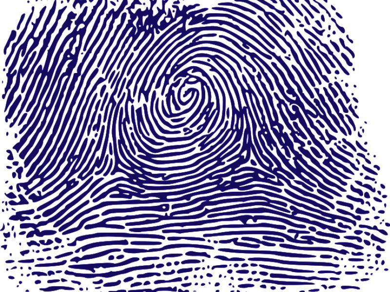 Student s Presentation To Focus On Fingerprint Research SUNY Student s Presentation To Focus On Fingerprint Research SUNY
