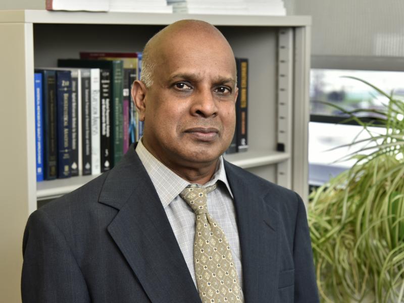 Ampalavanar Nanthakumar earns SUNY Distinguished Teaching Professor ...