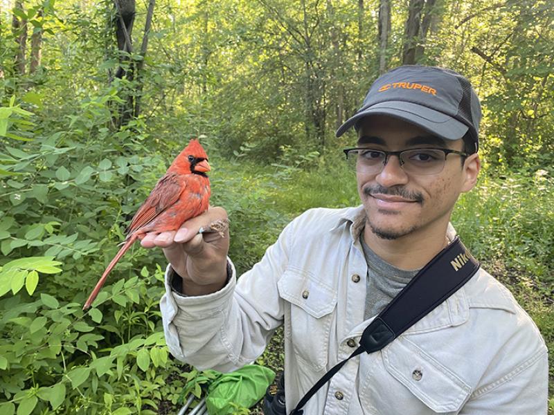 Cardinal study gives flight to undergraduate research opportunities ...