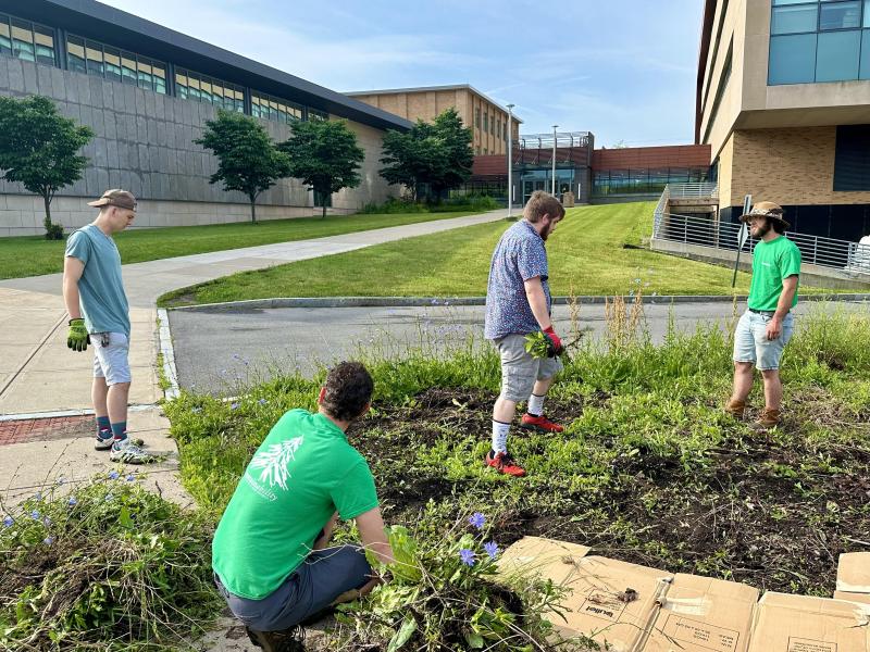 SUNY Oswego earns sustainable honor in Princeton Review 'Green Colleges ... SUNY Oswego earns sustainable honor in Princeton Review 'Green Colleges ...