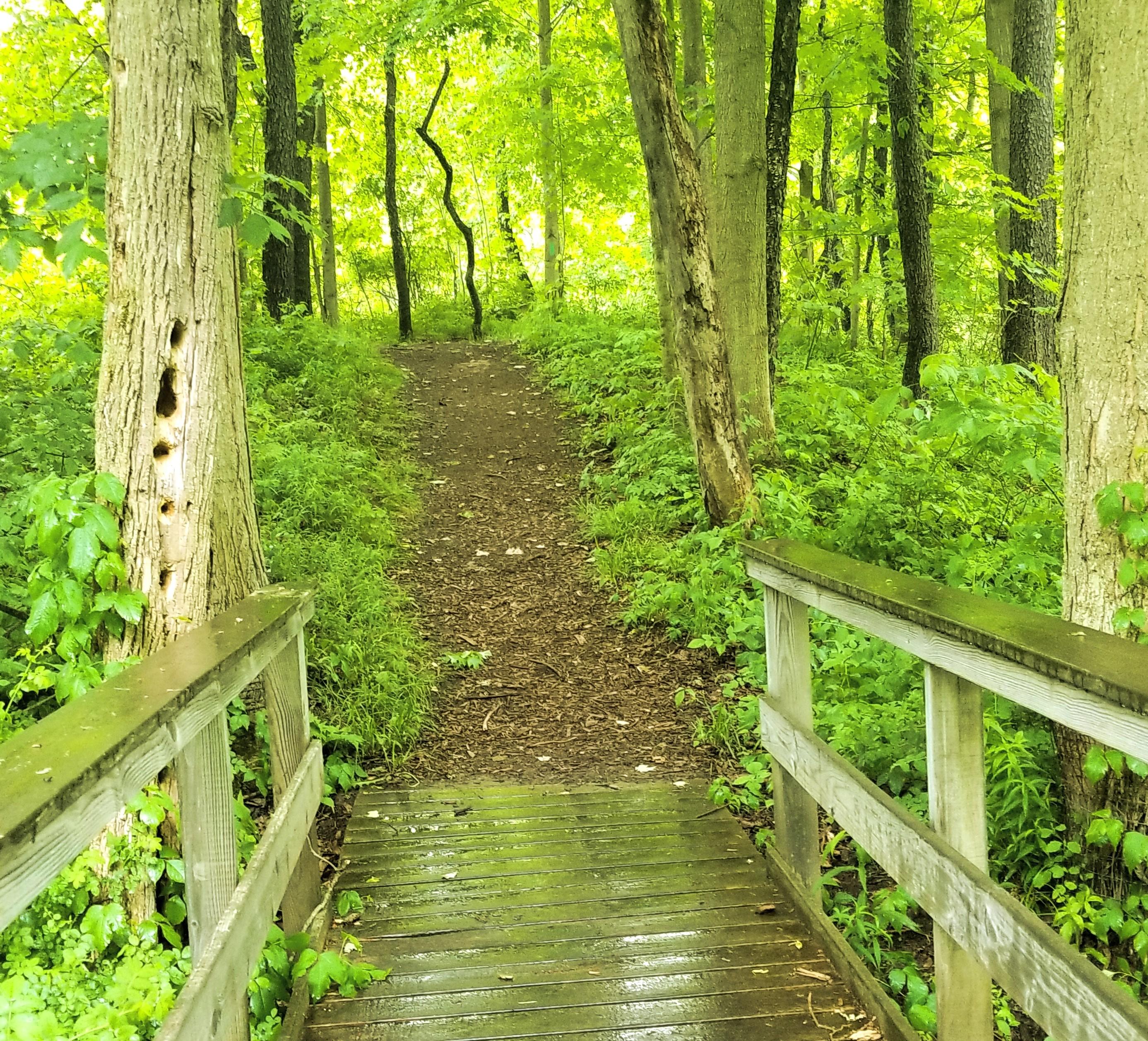 Explore Rice Creek | Rice Creek Field Station
